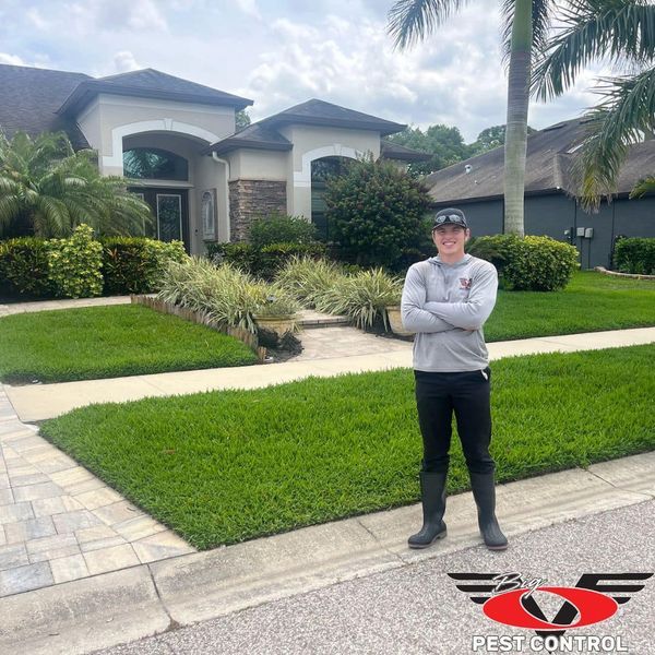 Local Pest Control Wesley Chapel, FL | Big-O Pest Control