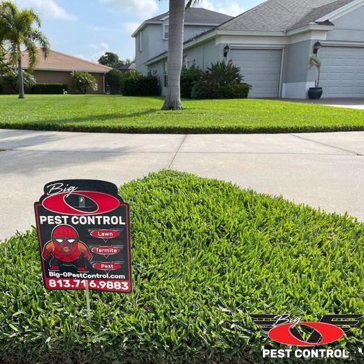 Local Pest Control Wesley Chapel, FL | Big-O Pest Control