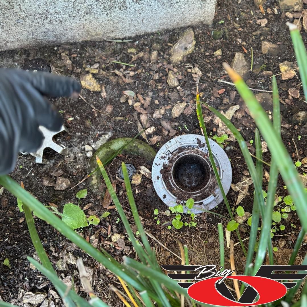 Termite Exterminator Riverview, FL | Big-O Pest Control