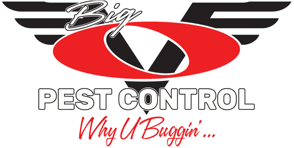 Fertilizing Service Wesley Chapel, FL | Big-O Pest Control