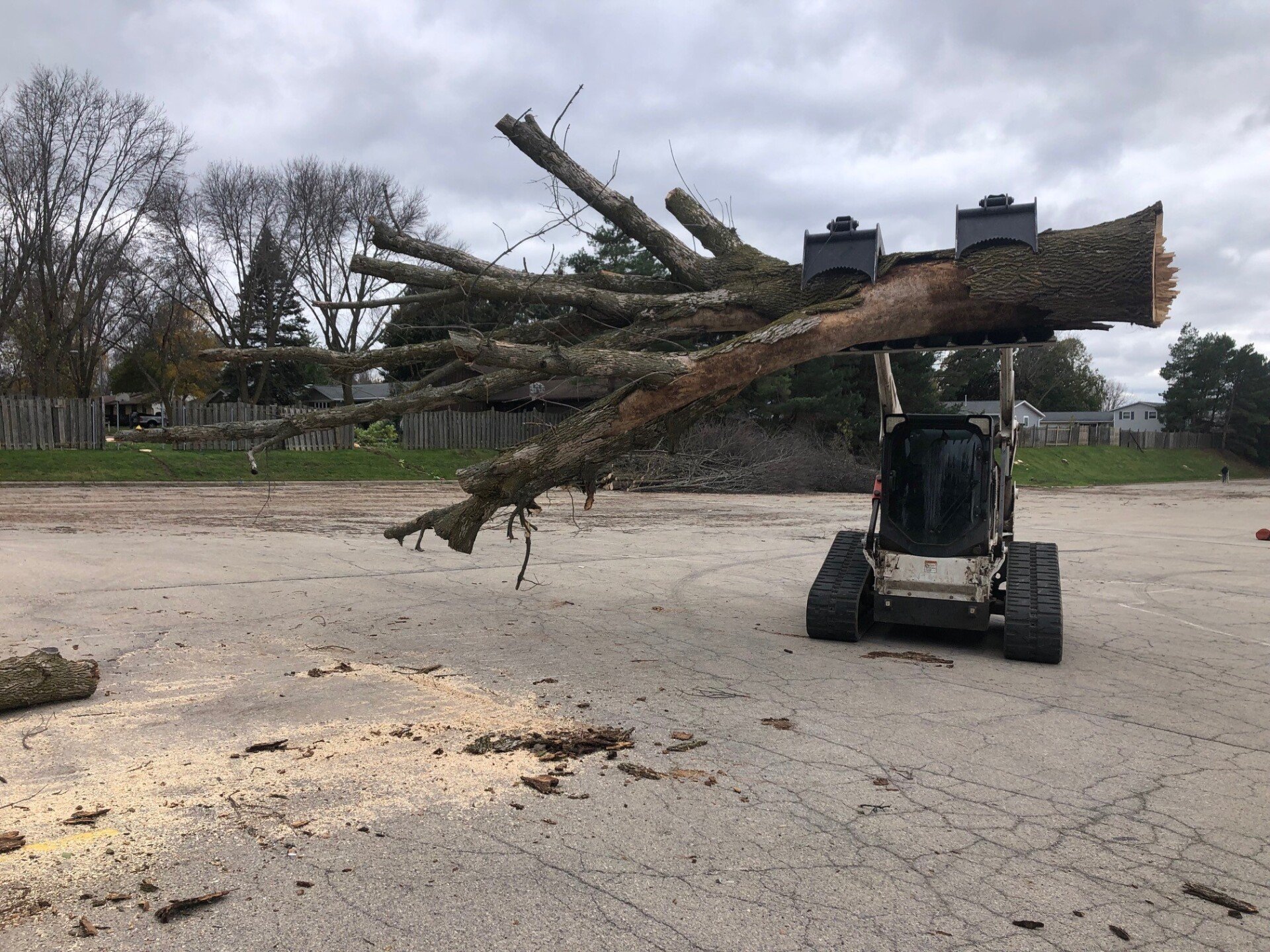 All WI Tree Services LLC Photo Gallery | Seymour, WI