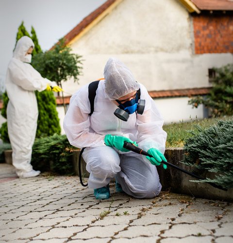 Gold Bug Pest Control | Exterminator | Fresno County, CA