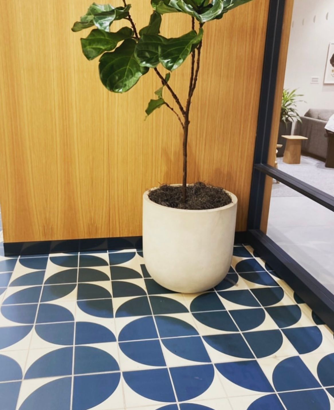 Adams Tile & Stone Gallery | Marion, IA