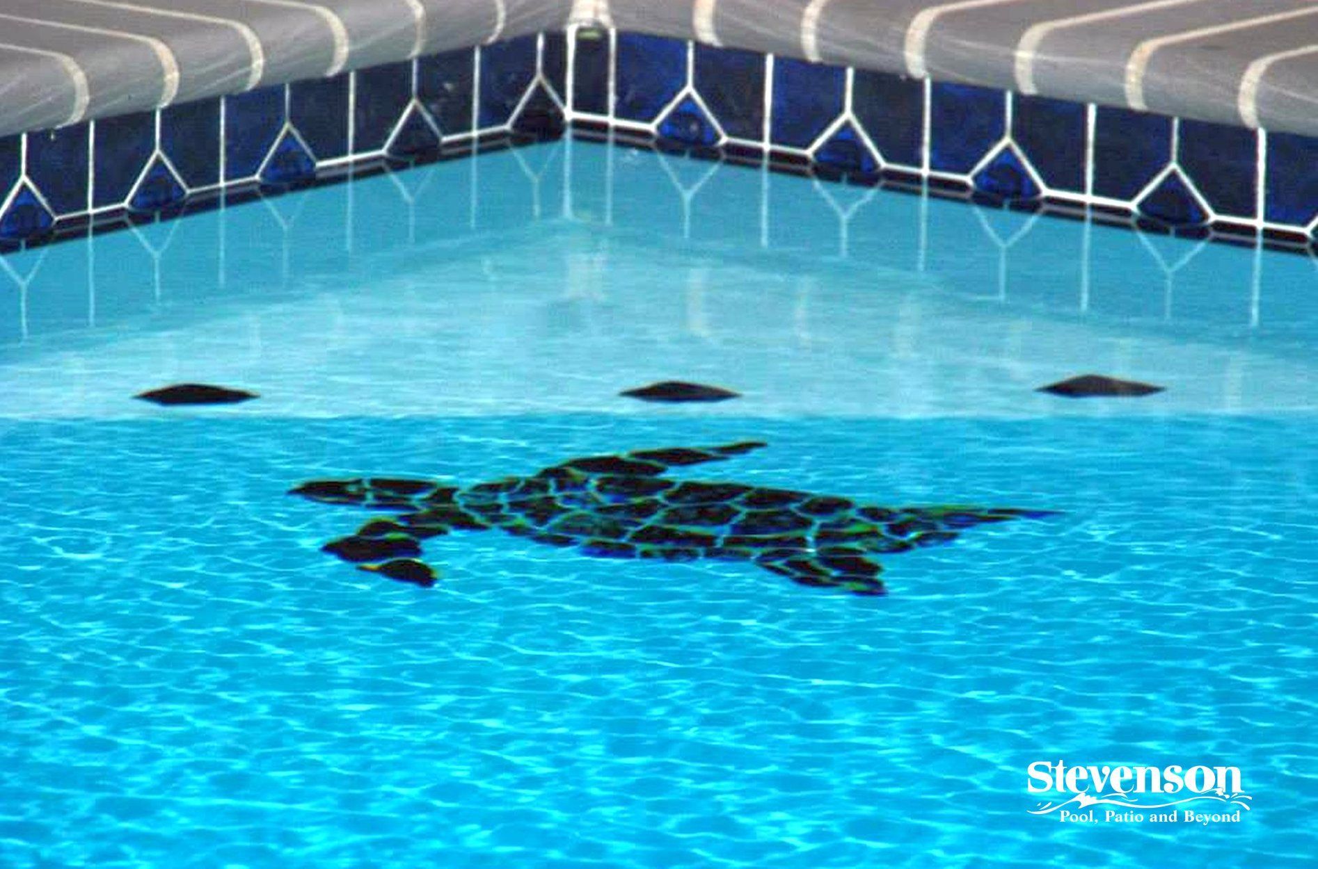 Project Gallery | Stevenson Pools