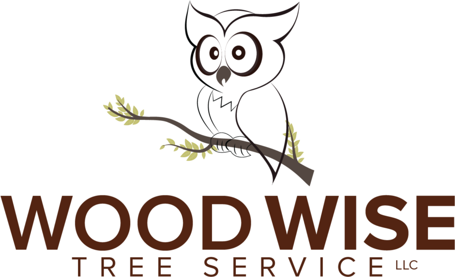 Arborist | Wood Wise Tree Service | Central PA
