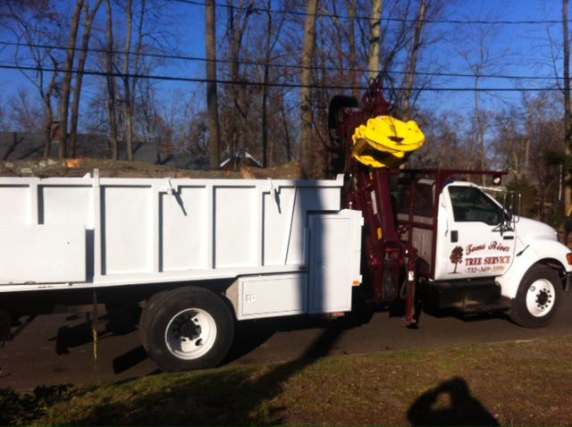 Toms River Tree Service Photo Gallery | Toms River, NJ