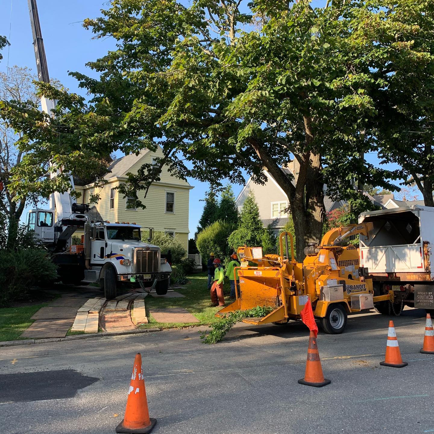 Toms River Tree Service Photo Gallery | Toms River, NJ