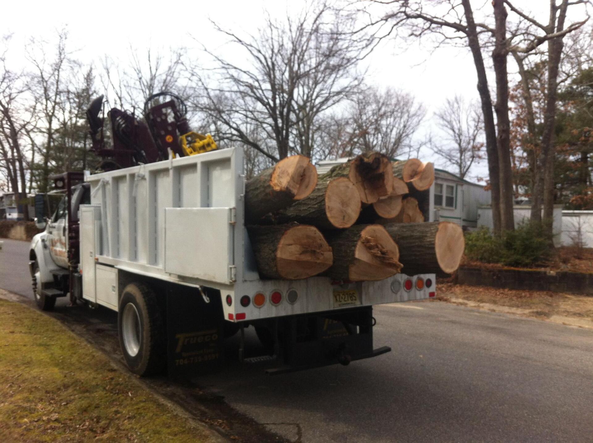Toms River Tree Service Photo Gallery | Toms River, NJ