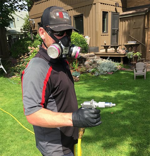 Pest Control Duluth, MN | Innovative Pest Solutions