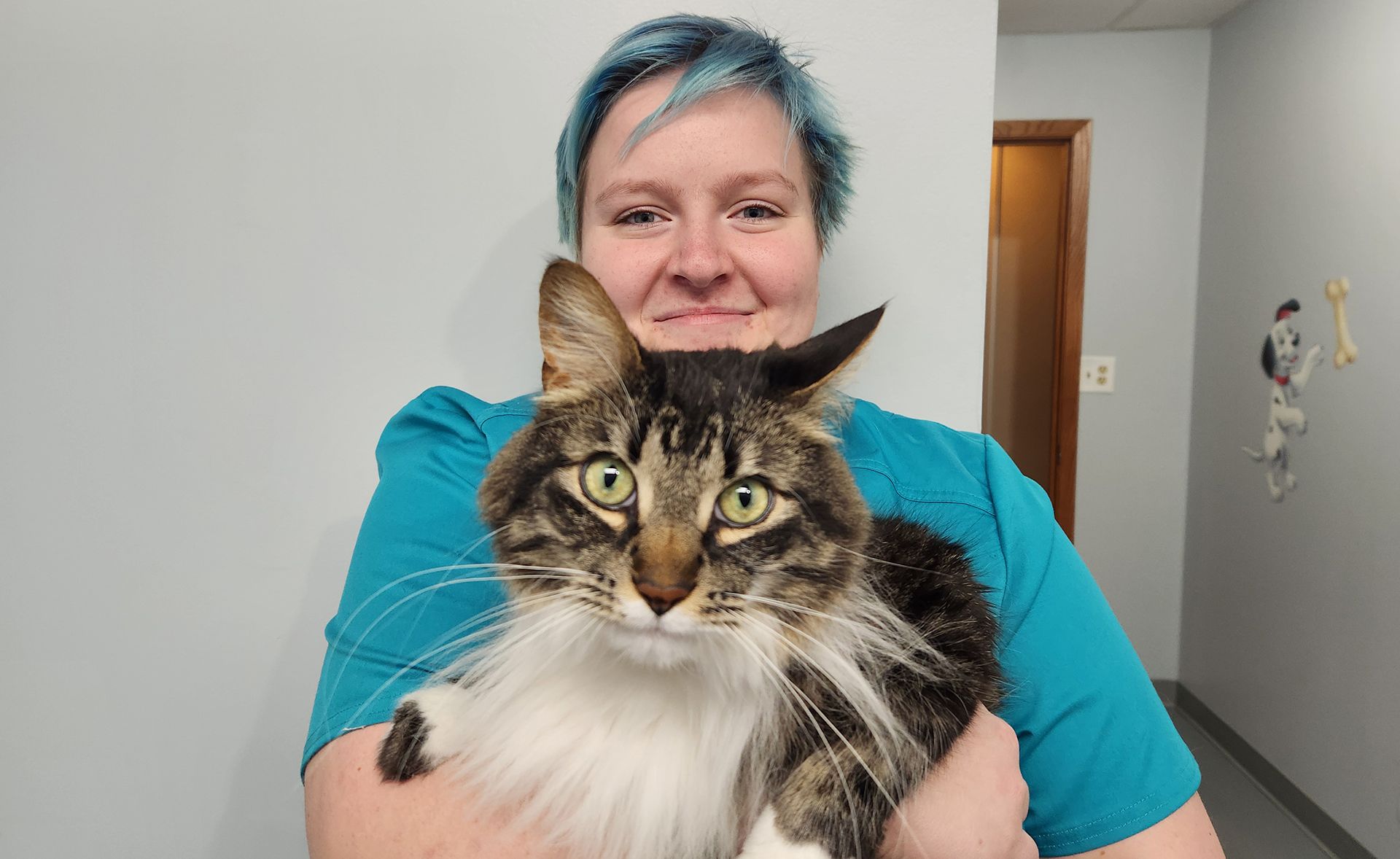 Brainerd Animal Hospital Our Staff | Brainerd, MN