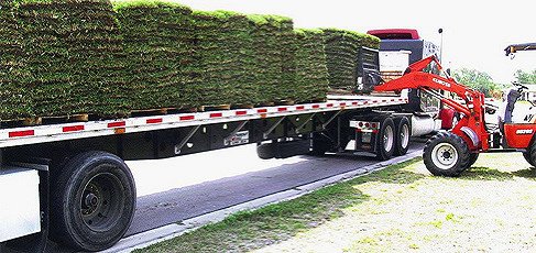 Sod Depot Palm Bay