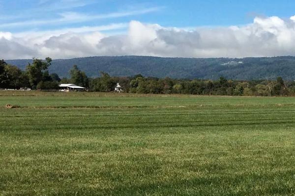 Lawn Round Hill, VA | Premier Turf Farms