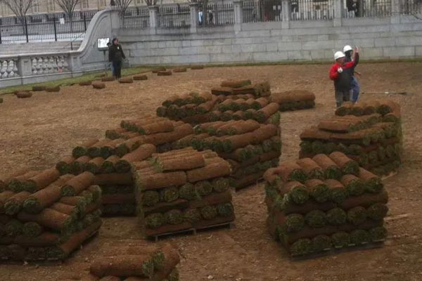 Lawn Round Hill, VA | Premier Turf Farms