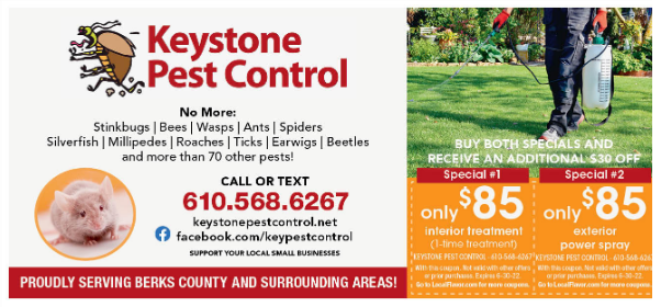 Keystone Pest Control | Pest Removal | Reading, PA