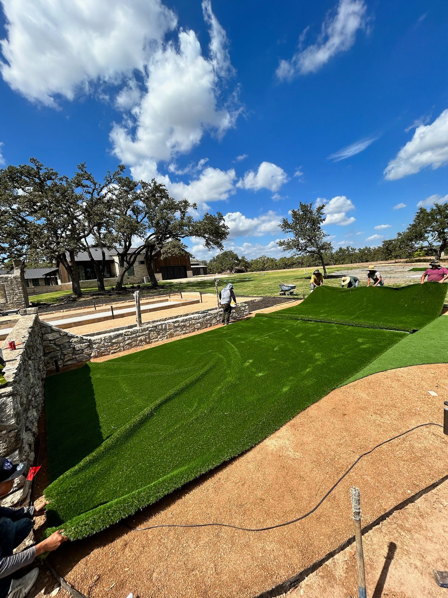 Gallery | The Grass Patch Inc