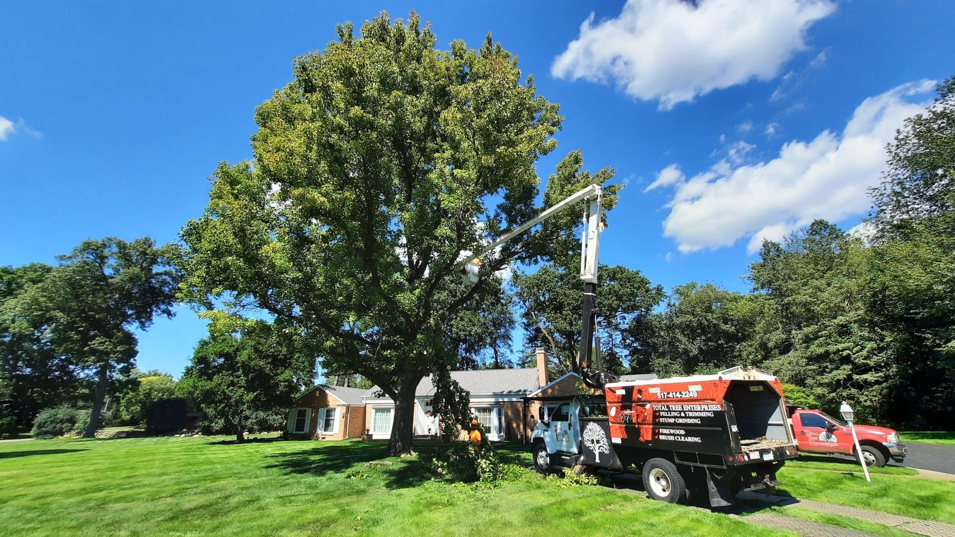 Tree Service Jackson, MI | Total Tree Enterprise