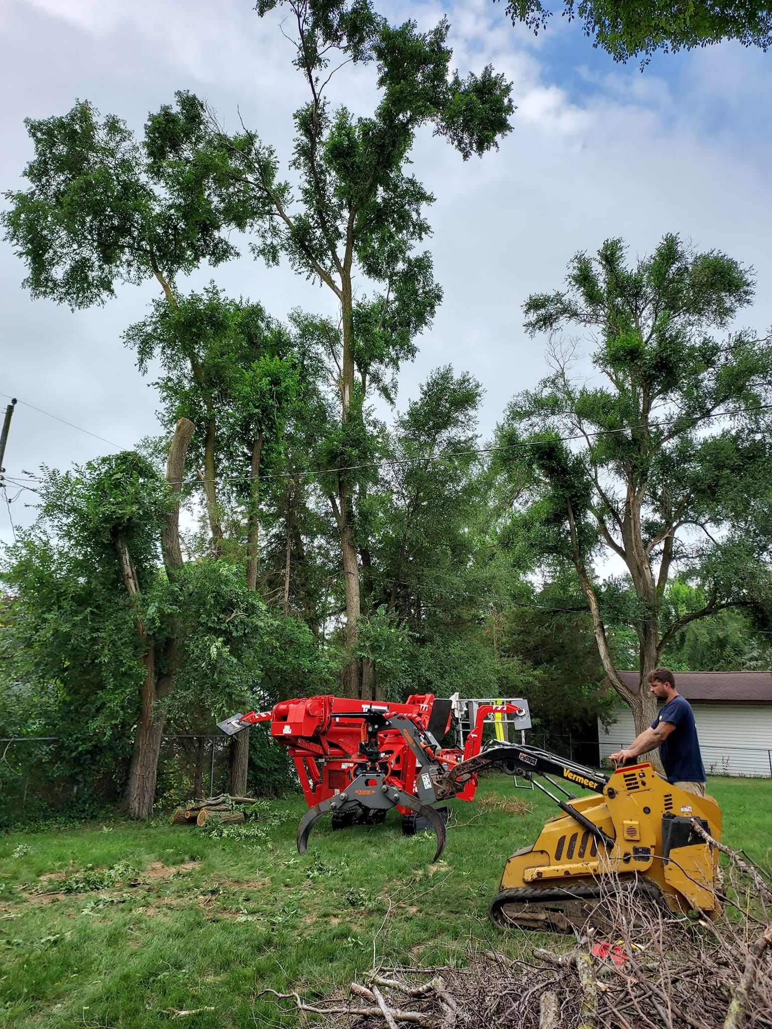 Tree Services Jackson, MI | Total Tree Enterprise