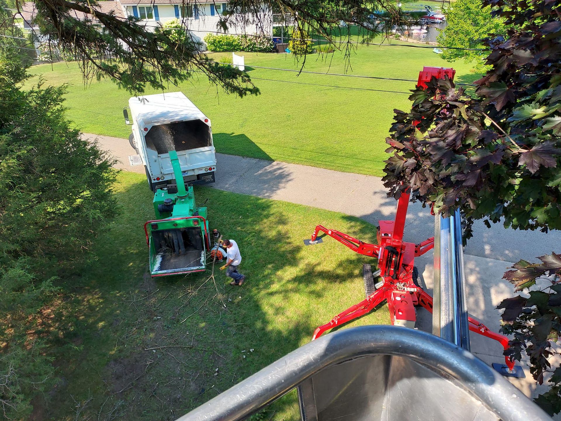 Tree Services Jackson, MI | Total Tree Enterprise