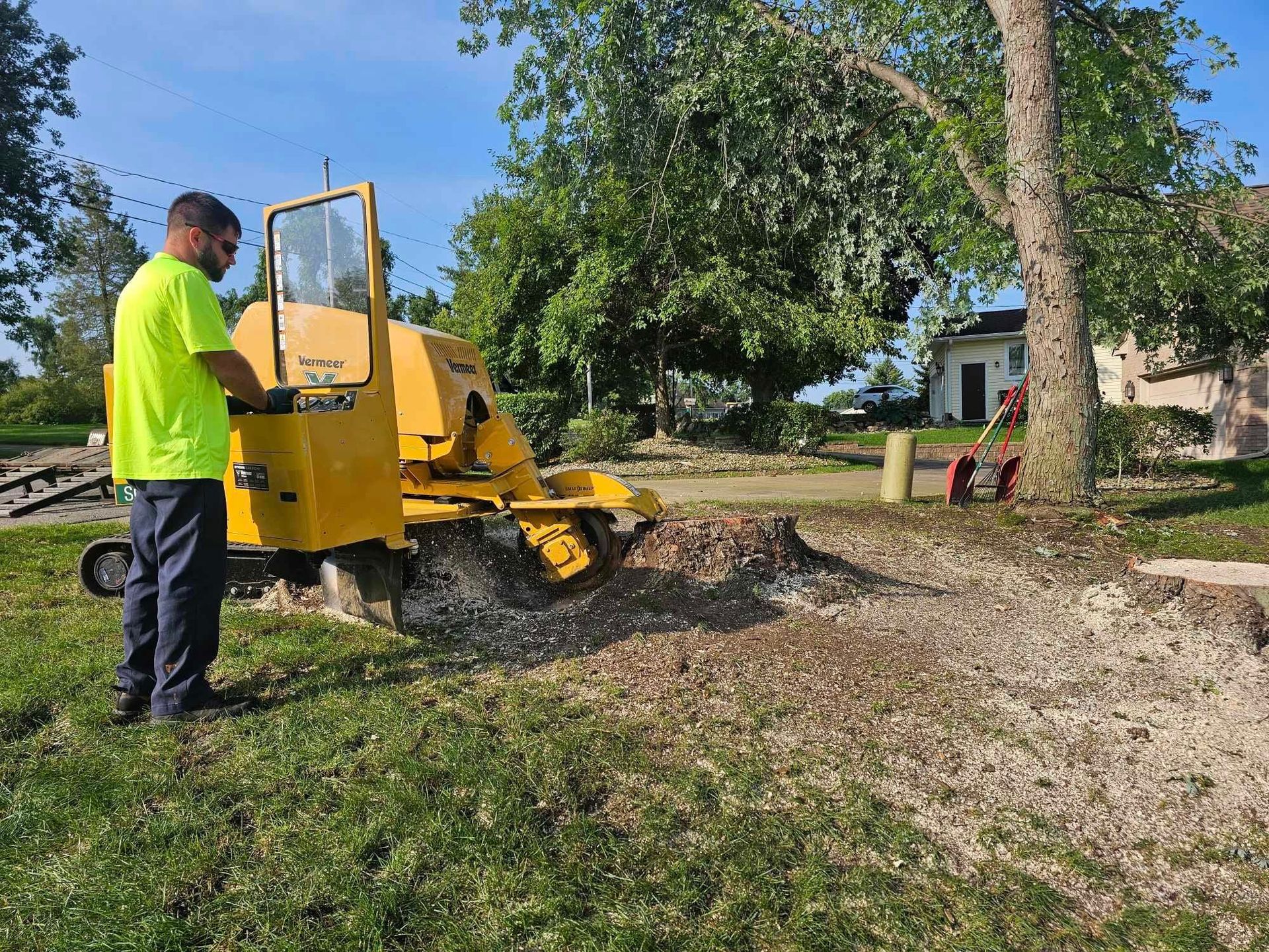 Tree Services Jackson, MI | Total Tree Enterprise