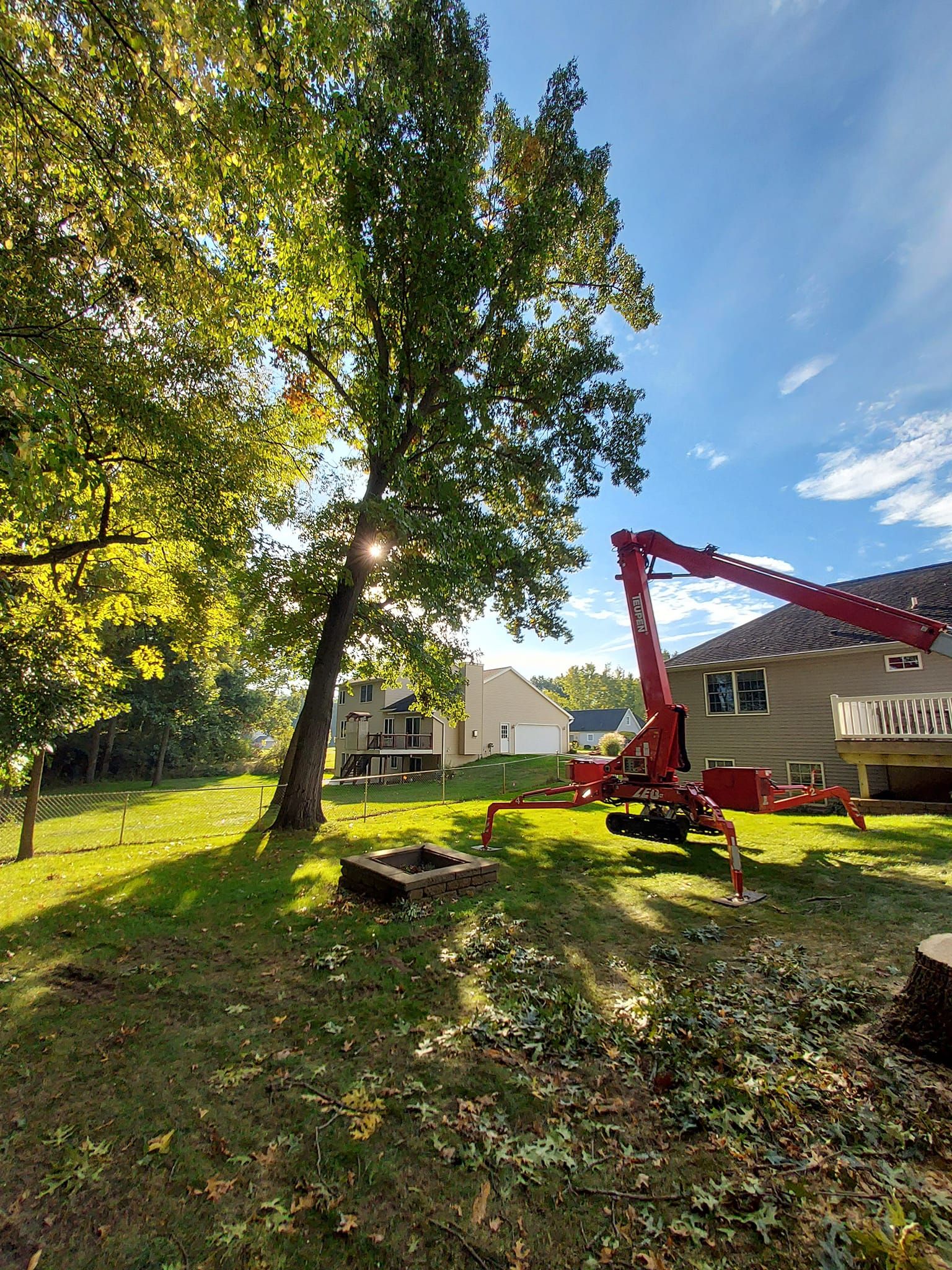 Tree Service Jackson, MI | Total Tree Enterprise