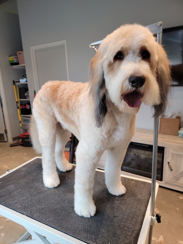 Sit Stay Spa Fargo Photo Gallery | West Fargo, ND