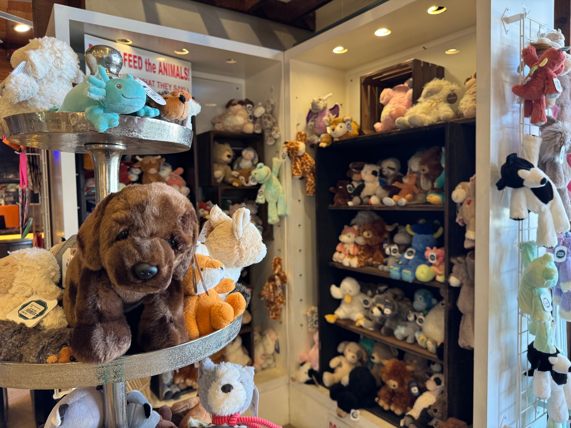 Unique Gift Shop | Keller, TX
