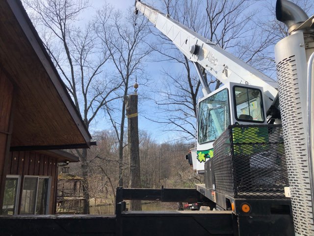 Tree Company Kent, OH | Todd's Tree Service