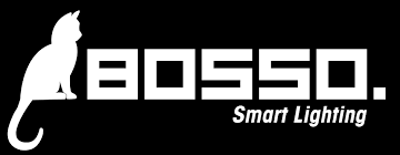 Permanent Holiday Lighting | Orland Park, IL