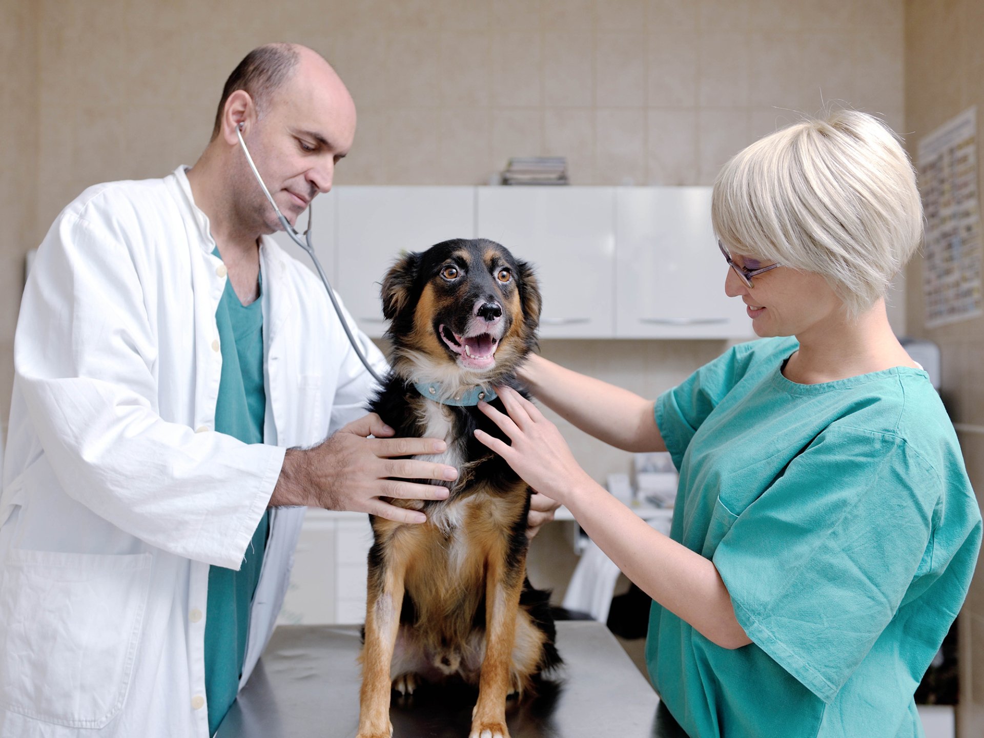 Veterinary Hospital | Squaw Valley Veterinary | Glen Rose TX