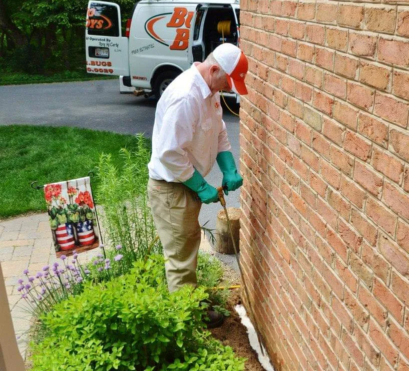 Bug Boys Pest Control | Termite Control | Northern VA, MD, DC, PA, and WV