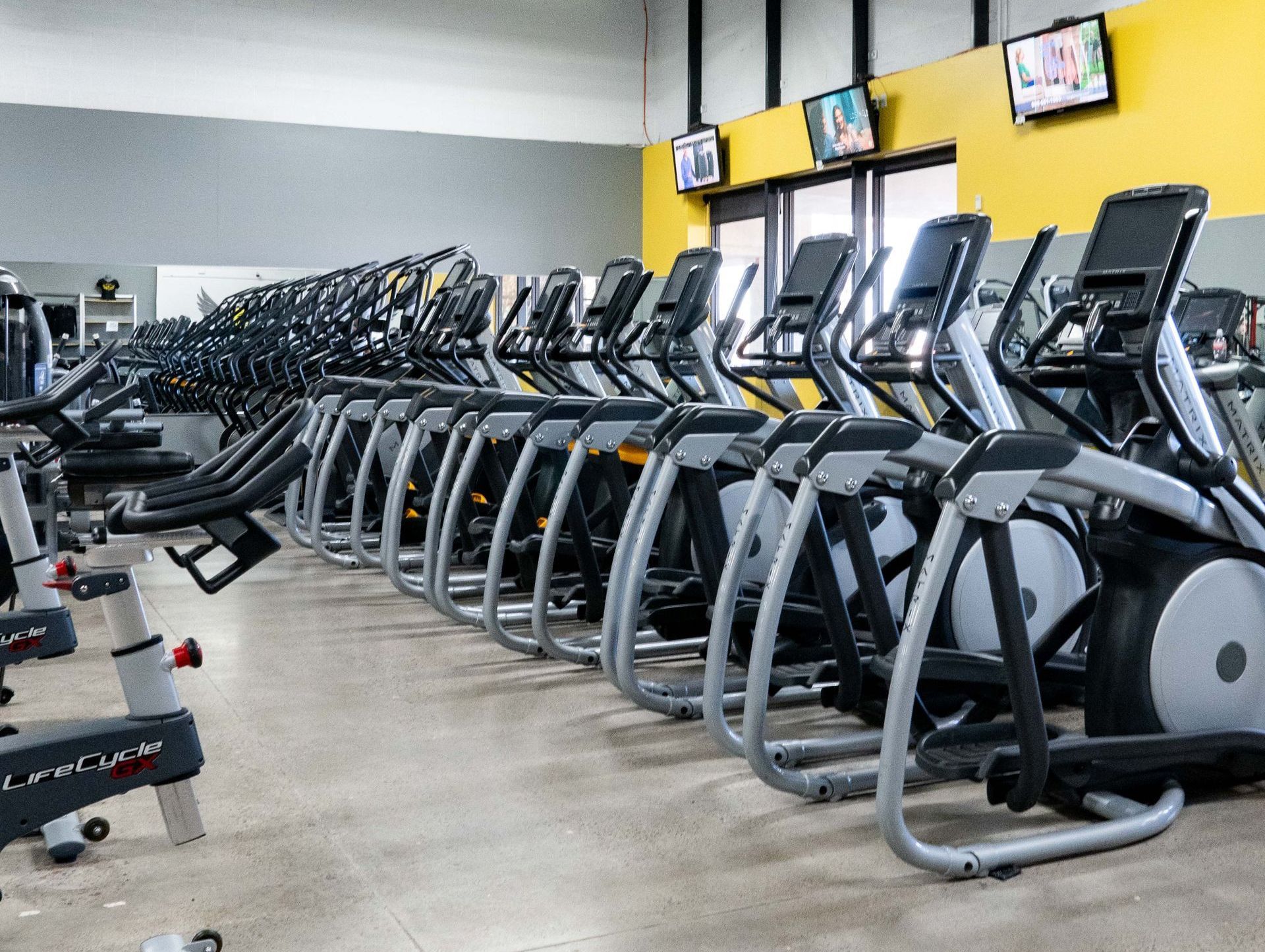 Elite Physique Gym Fitness Equipment | Rio Rancho, NM