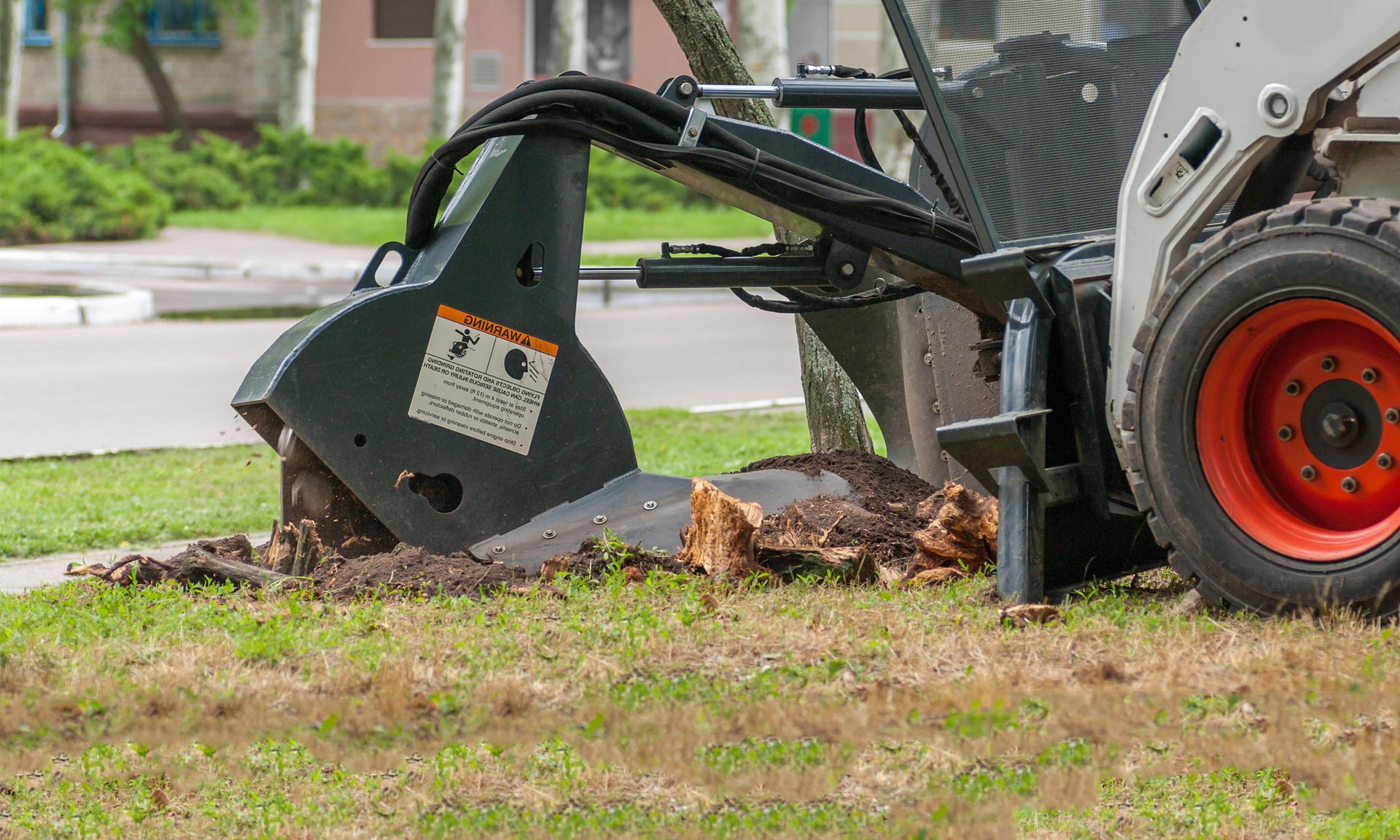 Local Tree Service Companies Spring Hill, FL