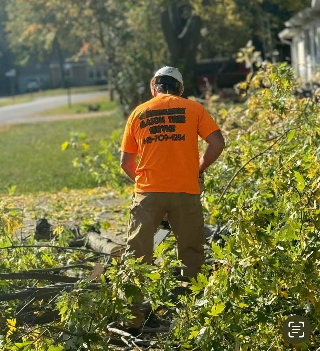 Tree Service Belleville | Edwardsville | Mason Tree Service