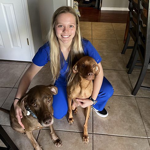 About | Vogel Veterinary Hospital