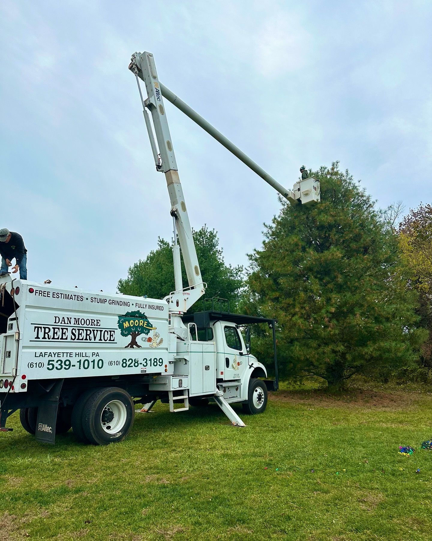 Arborist Dan Moore Tree Service Mont, Bucks & Chester Co, PA