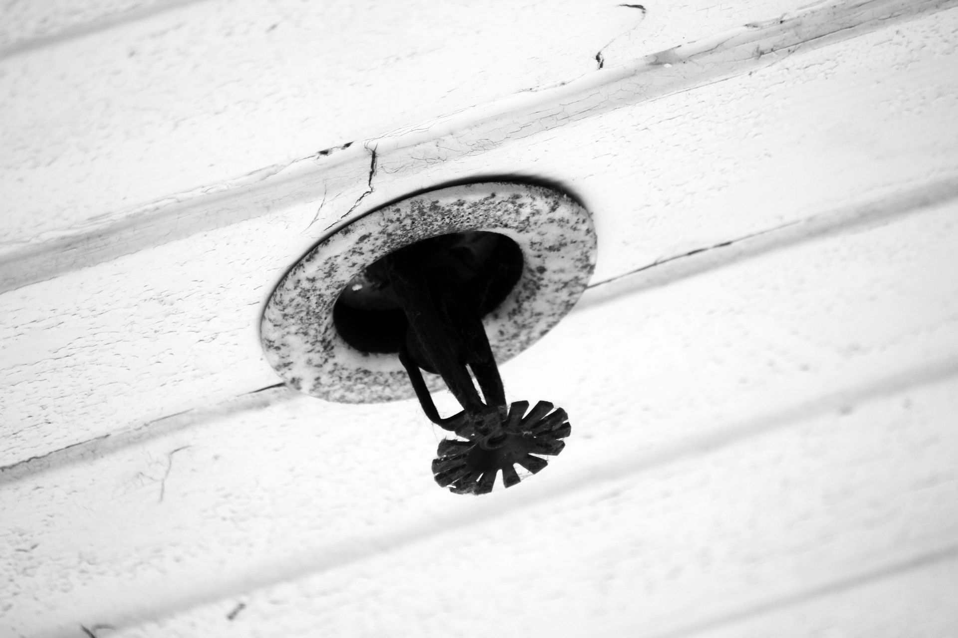 Fire Sprinkler Installations | Tualatin, OR