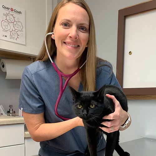 Meet The Doctors | Latrobe Animal Clinic