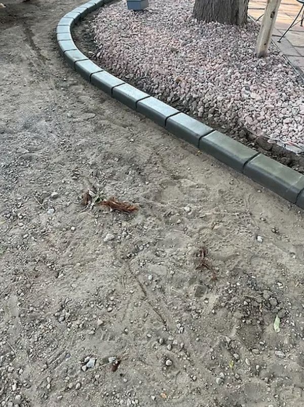 Concrete Landscape Border Installations | Boulder, Broomfield & Weld ...