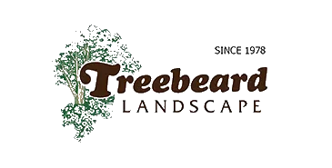 Landscape Design | Treebeard Landscape | San Diego County CA