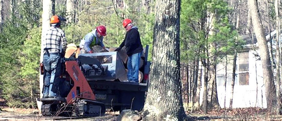 Davis Tree Care | Tree Service | Factoryville, PA