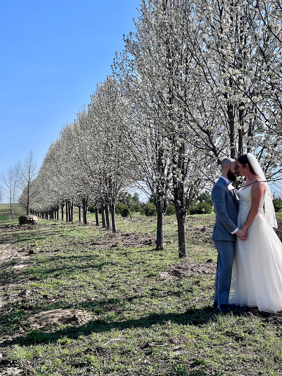 Tree Farm Tour | Pleasant Plains, IL