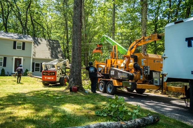 Tree Removal Companies Coventry, RI | Cranston, RI