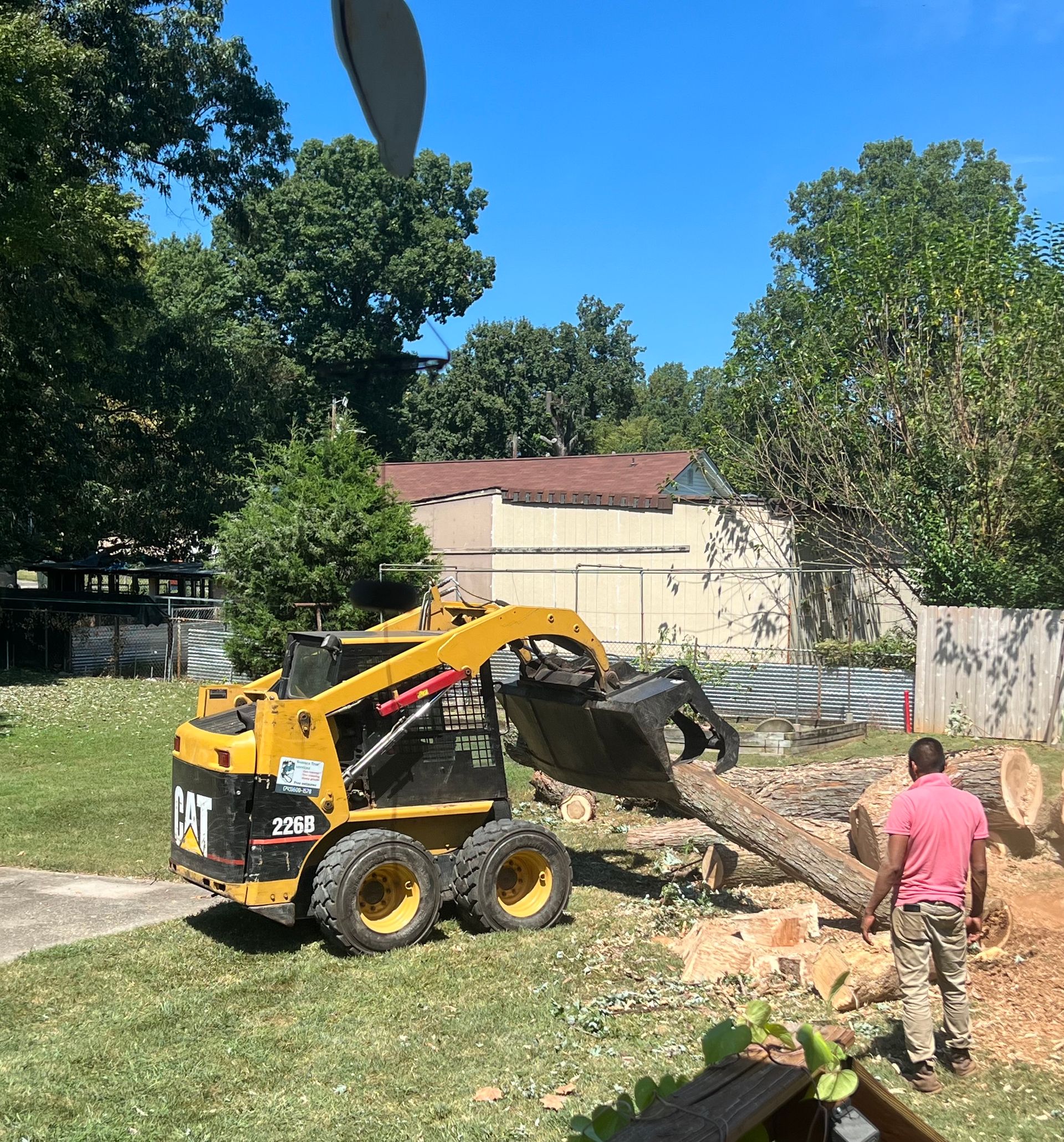 Gallery | Ventura Tree Services LLC
