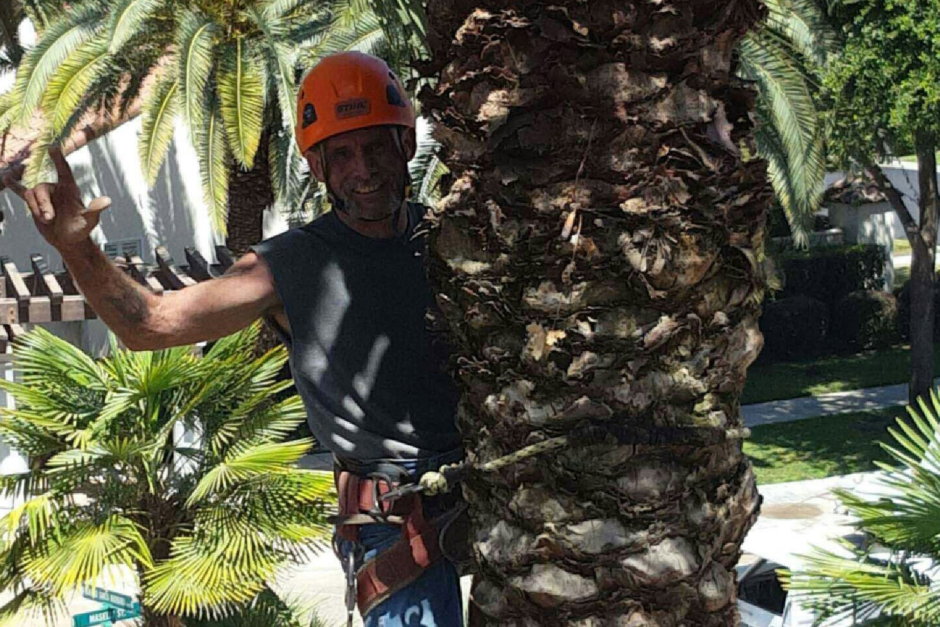 Pete's Tree Service | Tree Services | Exeter, CA