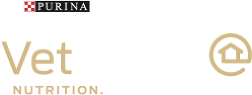 The Mobile Animal Clinic of Eastern Connecticut | Ashford CT