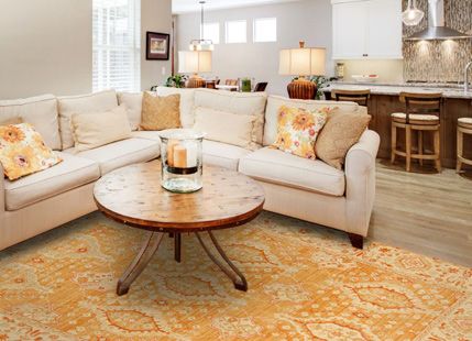 Area Rugs Berwyn and Villanova, PA | Albed Rug Company