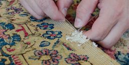 Area Rugs Paoli and Newton Square, PA | Albed Rug Company