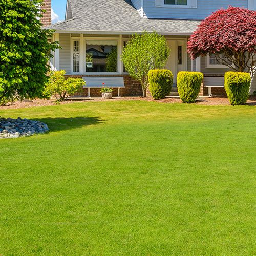 Landscapers | Koehn's Country Gardens | Ulysses, KS