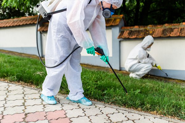 Pest Control Programs | Alliance Pest Control Inc