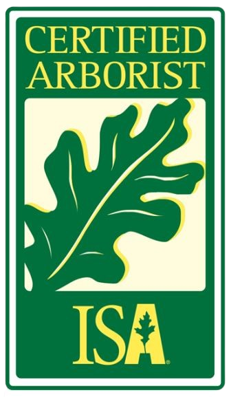 Tree Service Pittsburgh, PA | BeaverJack Tree Service, LLC